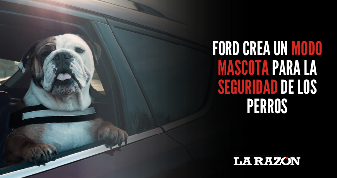 Ford crea un modo mascota para la seguridad de los perros - La Razón