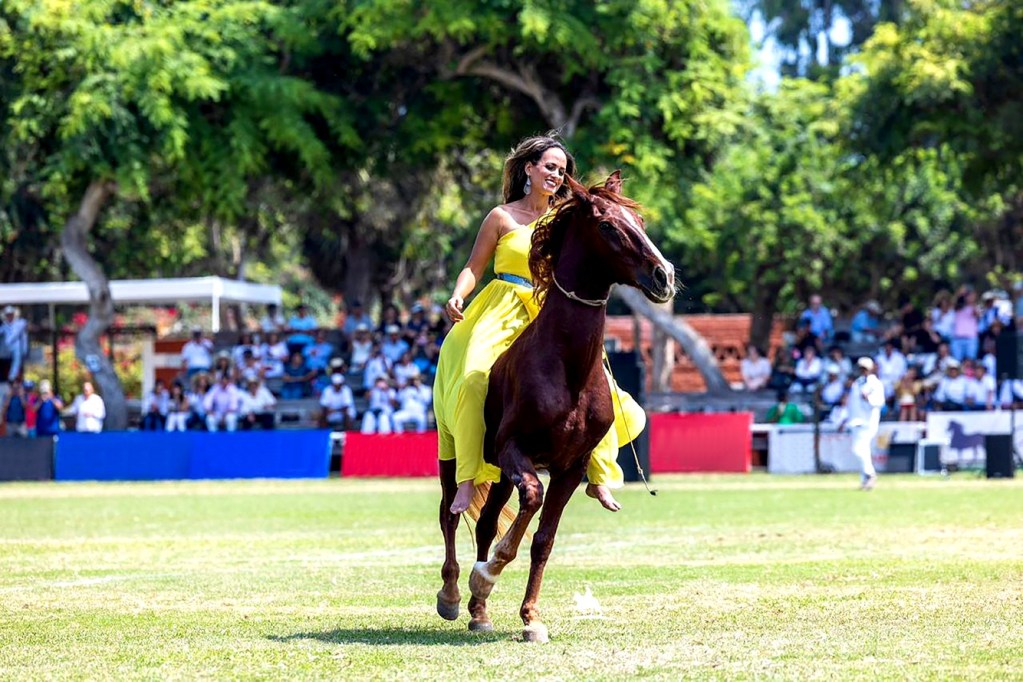 Claudia Arbulú: “El caballo de paso peruano es un motivo de orgullo ...